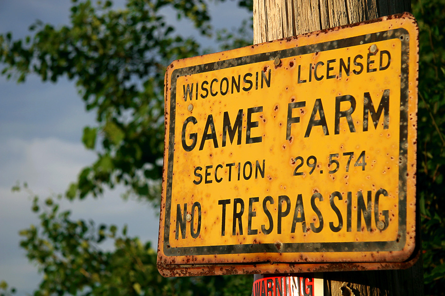 The Best Things to Do While You’re Staying at a Game Farm