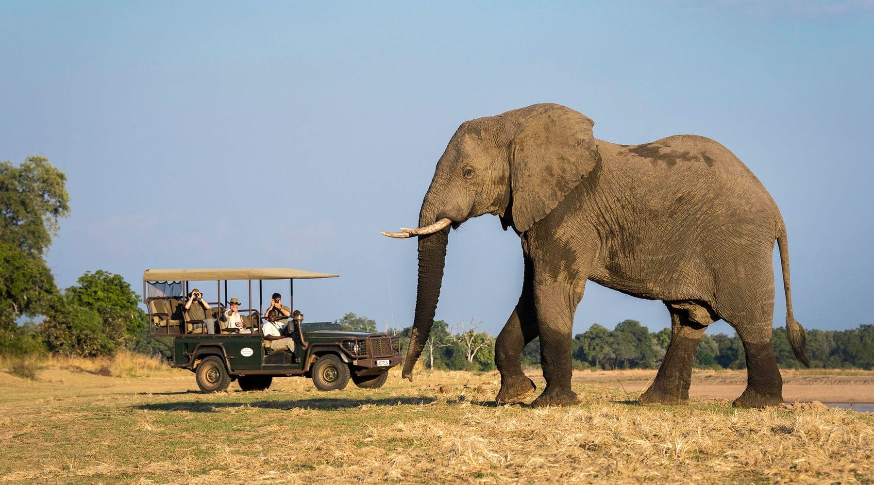 The 4 Most Important Items to Take on Your Next Safari Adventure